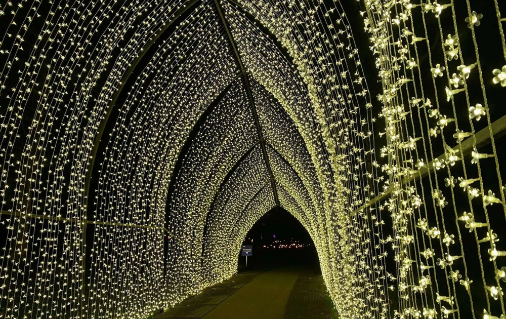 Outdoor Lighting Hire | Event Lighting Rental